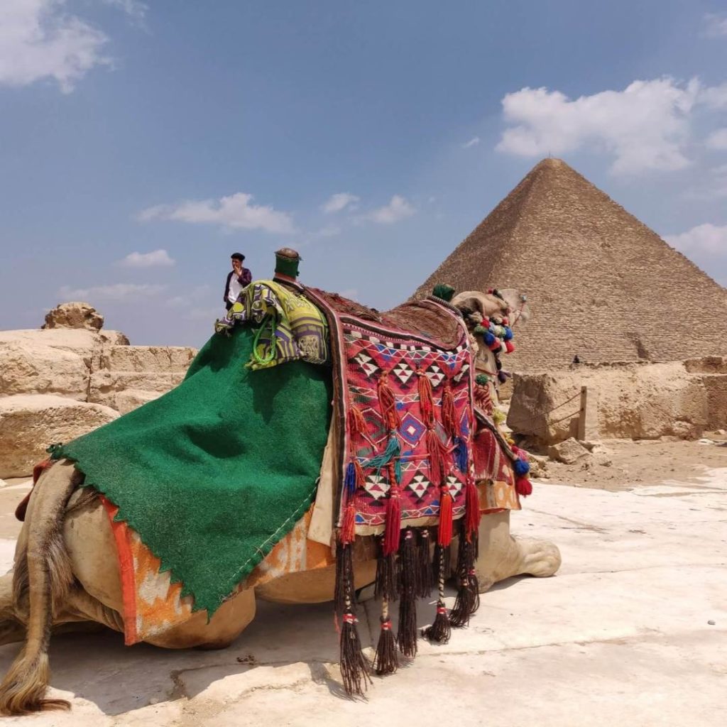 DIY Hash - What is Hashish and How to Make Your Own Cannabis Extract!