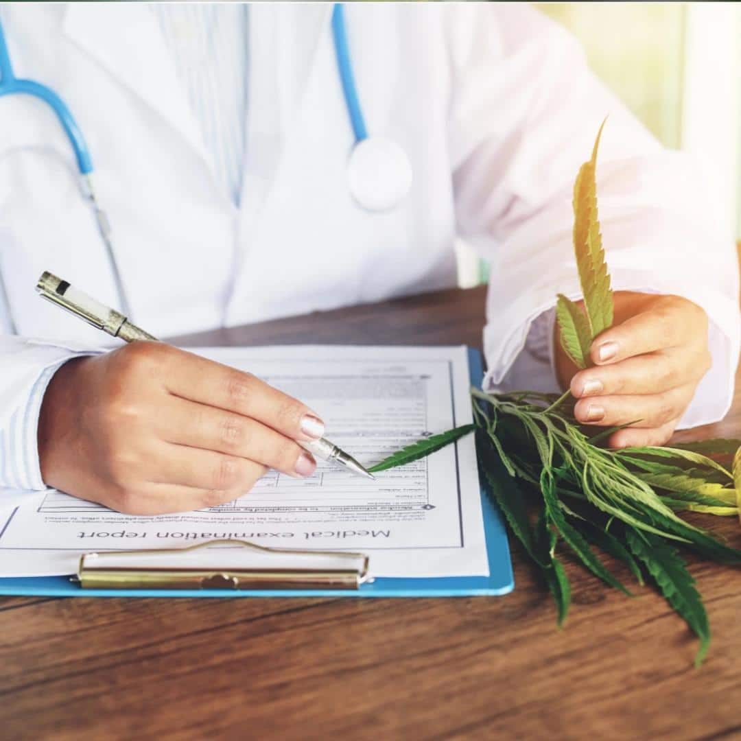 Cheeba Cannabis Academy - Training The Developing Cannabis Industry