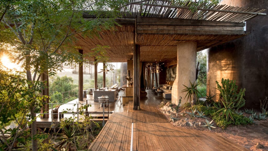 The History Of Simba Chips - Stoned Citizen